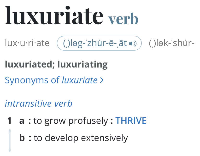 Virtual Assistant Mentor | Virtual Miss Friday